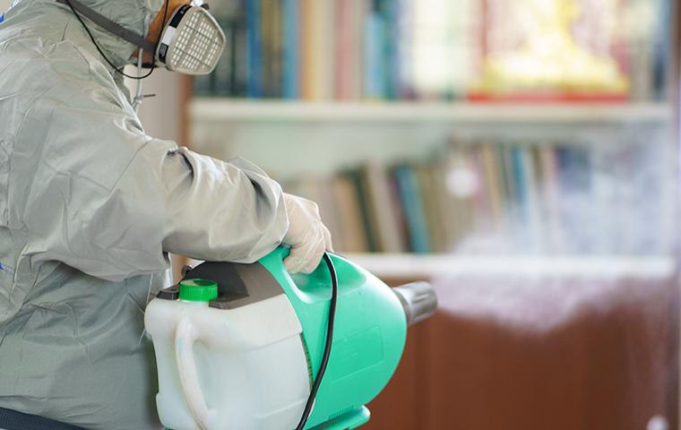 Xtrim Contracting W.L.L. | A Complete Pest Control Service Provider in ...