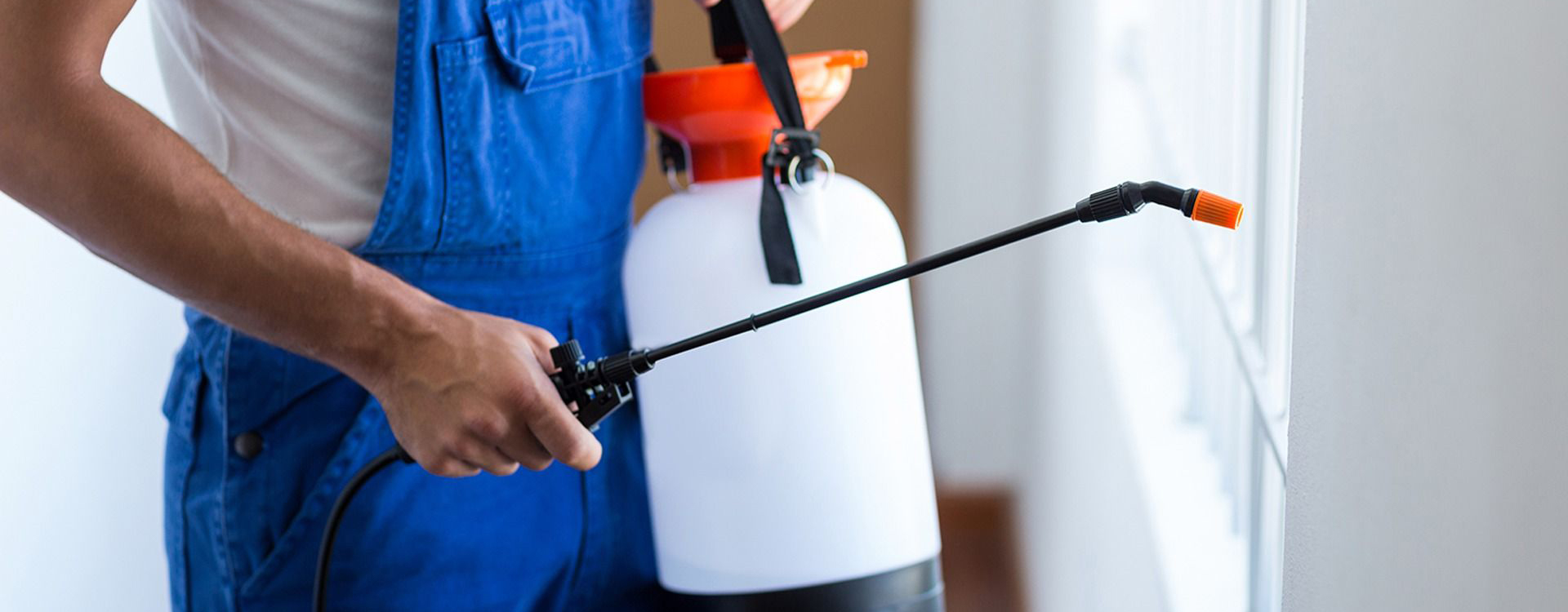 Xtrim Contracting W.L.L. | A Complete Pest Control Service Provider in ...